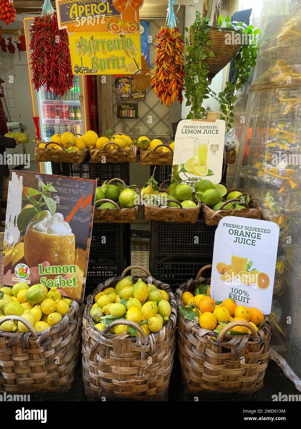 CITRUS FRUIT on display in Malta. Photo: Tony Gale Stock Photo - Alamy
