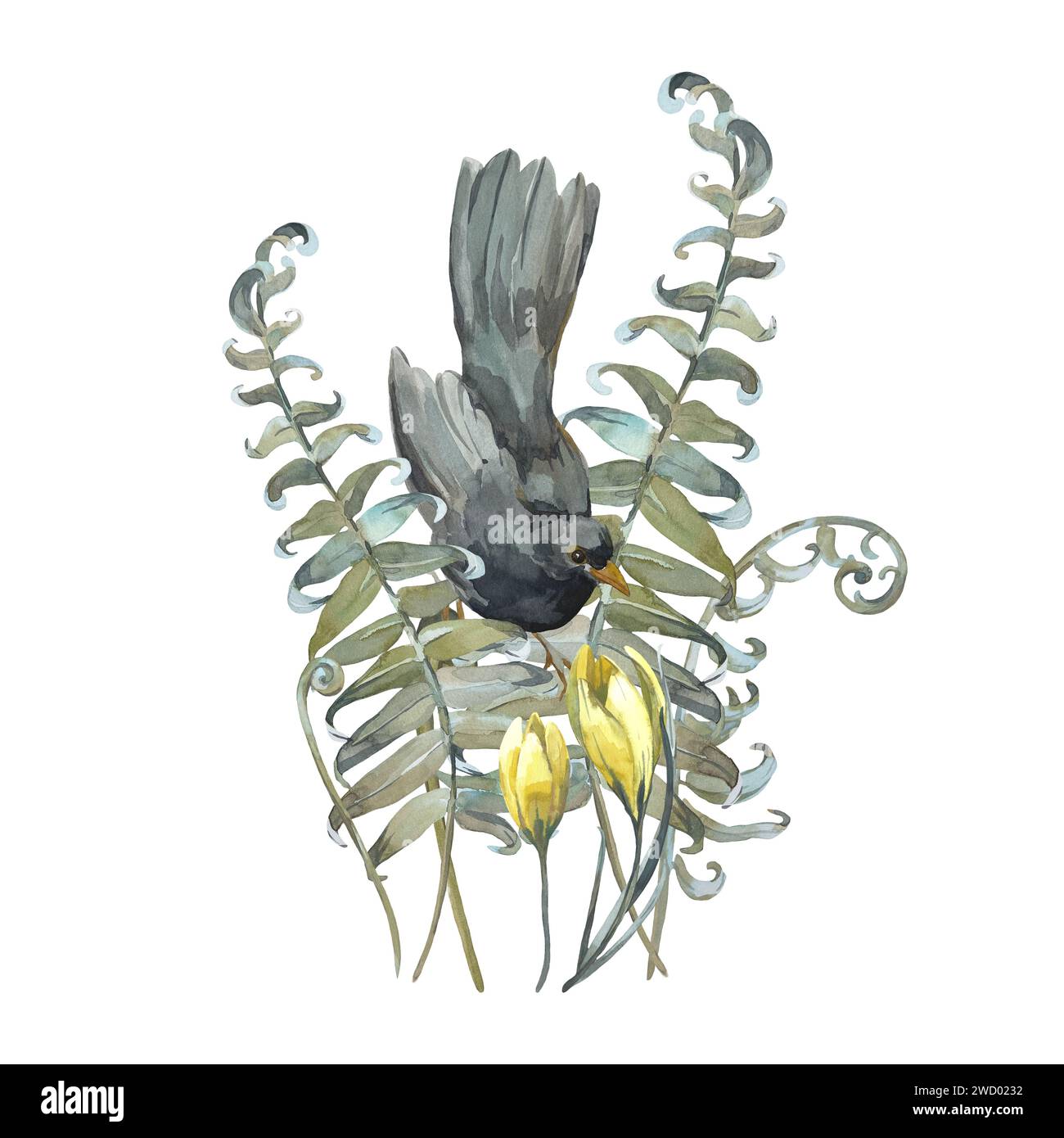 Composition with fern leaves, crocuses and black bird. Hand painted ...