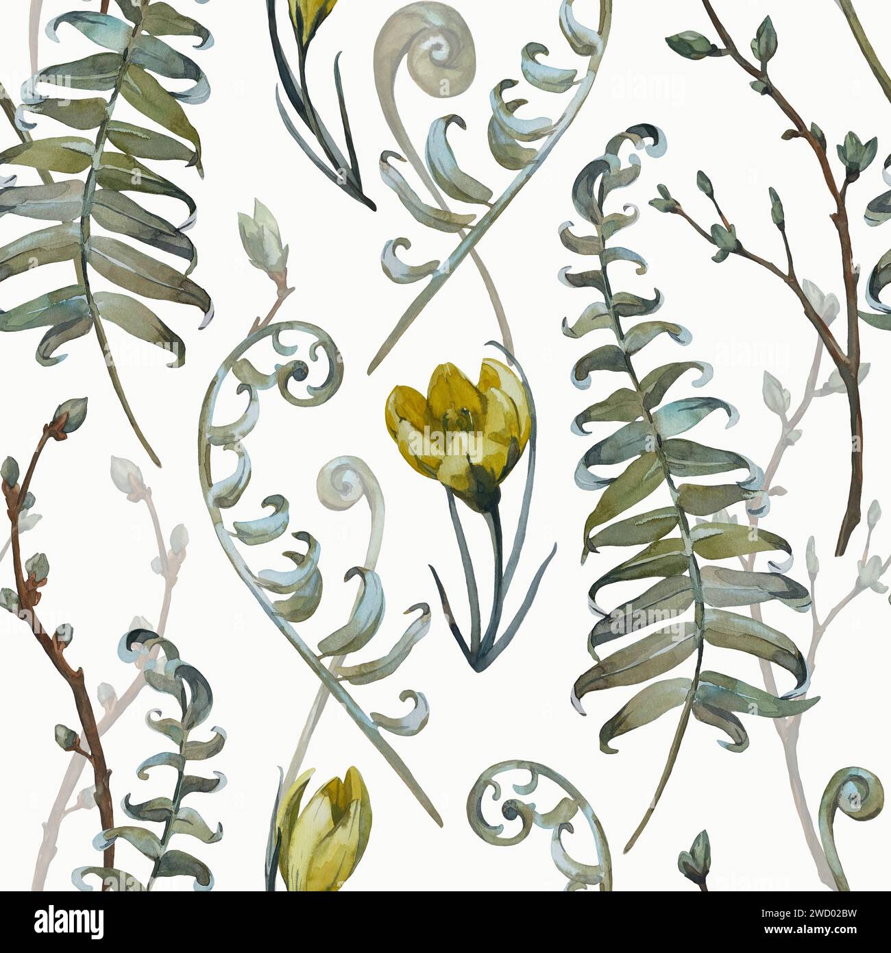 Seamless hand drawn spring watercolor floral pattern. With crocus flowers, ferns and branches ...