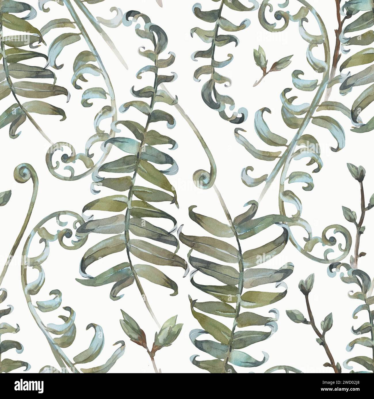 Seamless hand drawn spring watercolor floral pattern. With ferns leaves ...