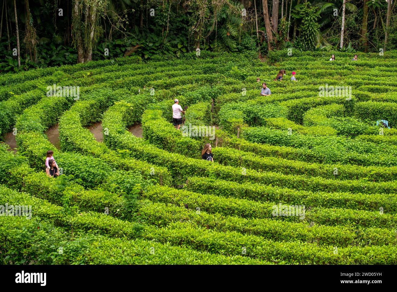 The Labyrinth at Malwee Park, Jaraguá do Sul, Santa Catarina Estate ...
