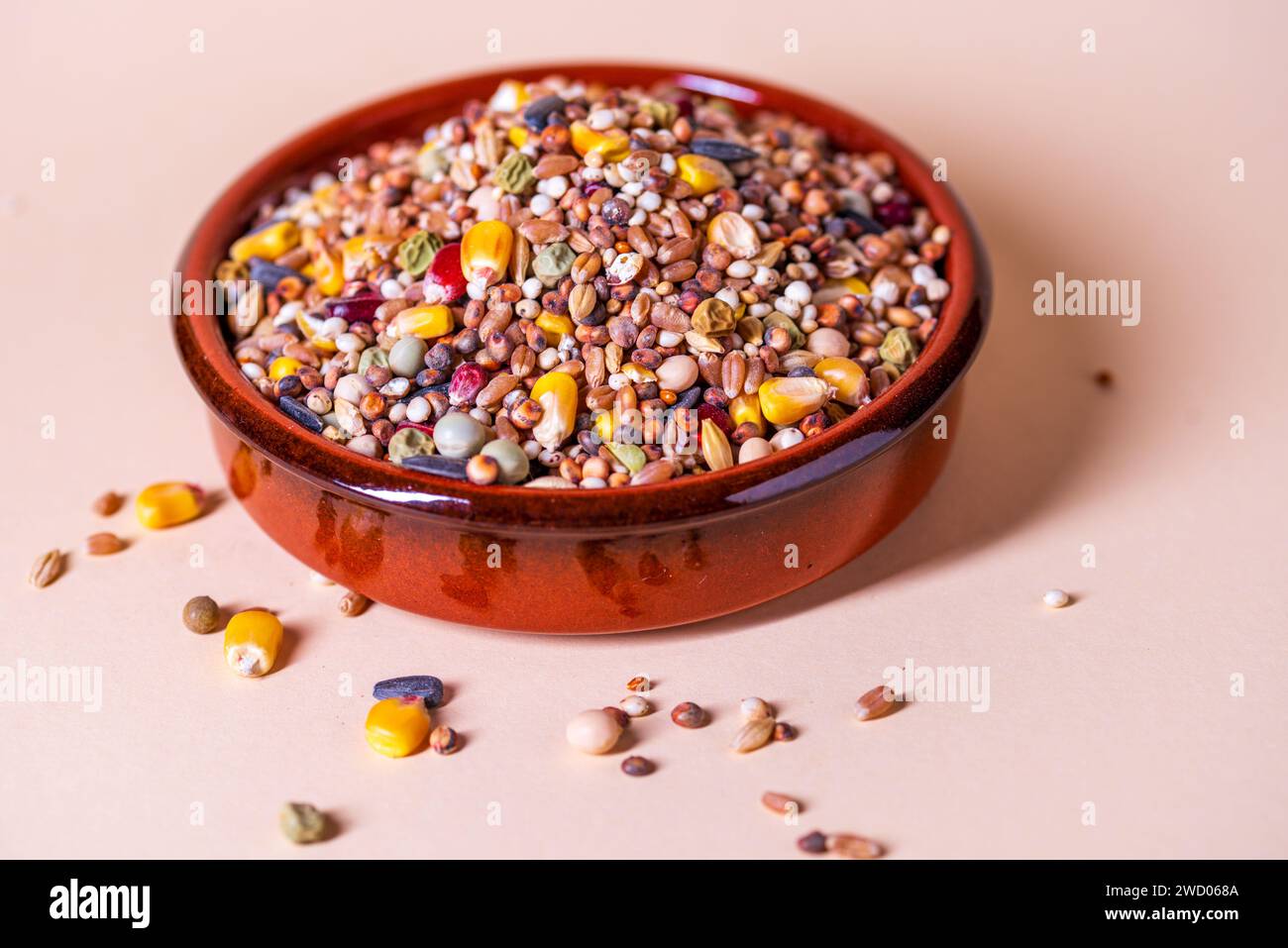 Pigeon mix hi-res stock photography and images - Alamy