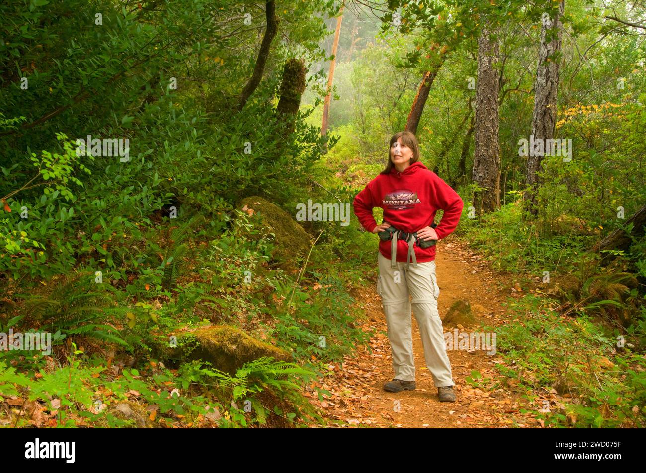 Stony Creek Trail, Smith River National Recreation Area, Smith Wild and ...