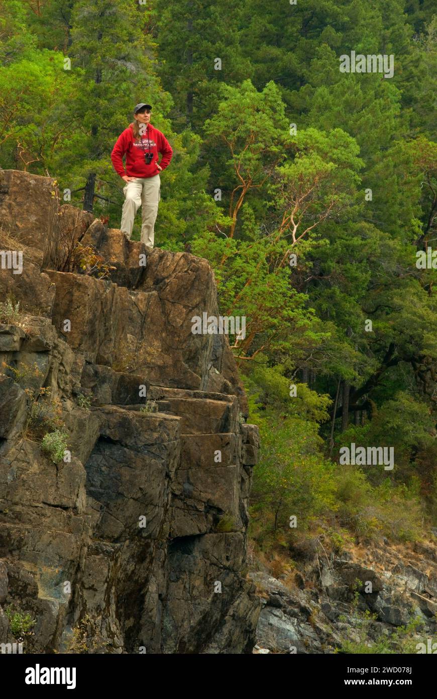 Cliff perch above South Fork Smith River at the Forks, Smith River ...