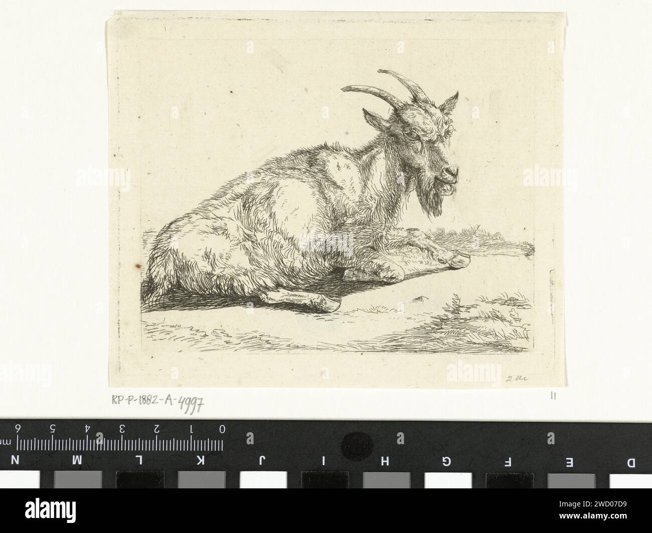 Geit, Jan Dasveldt, 1780 - 1855 print Amsterdam paper etching goat ...