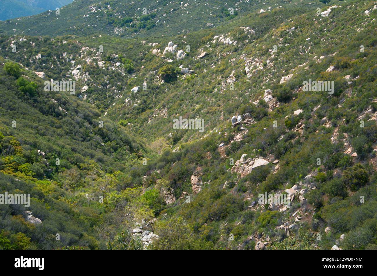Chaparral-covered mountains off Ortega Highway, Cleveland National ...