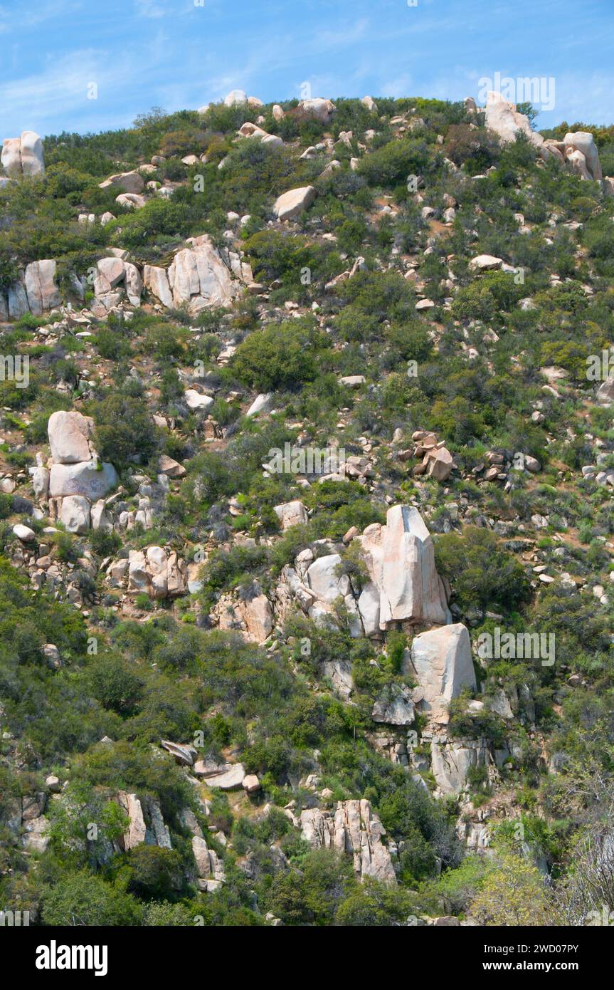 Chaparral-covered mountains off Ortega Highway, Cleveland National ...