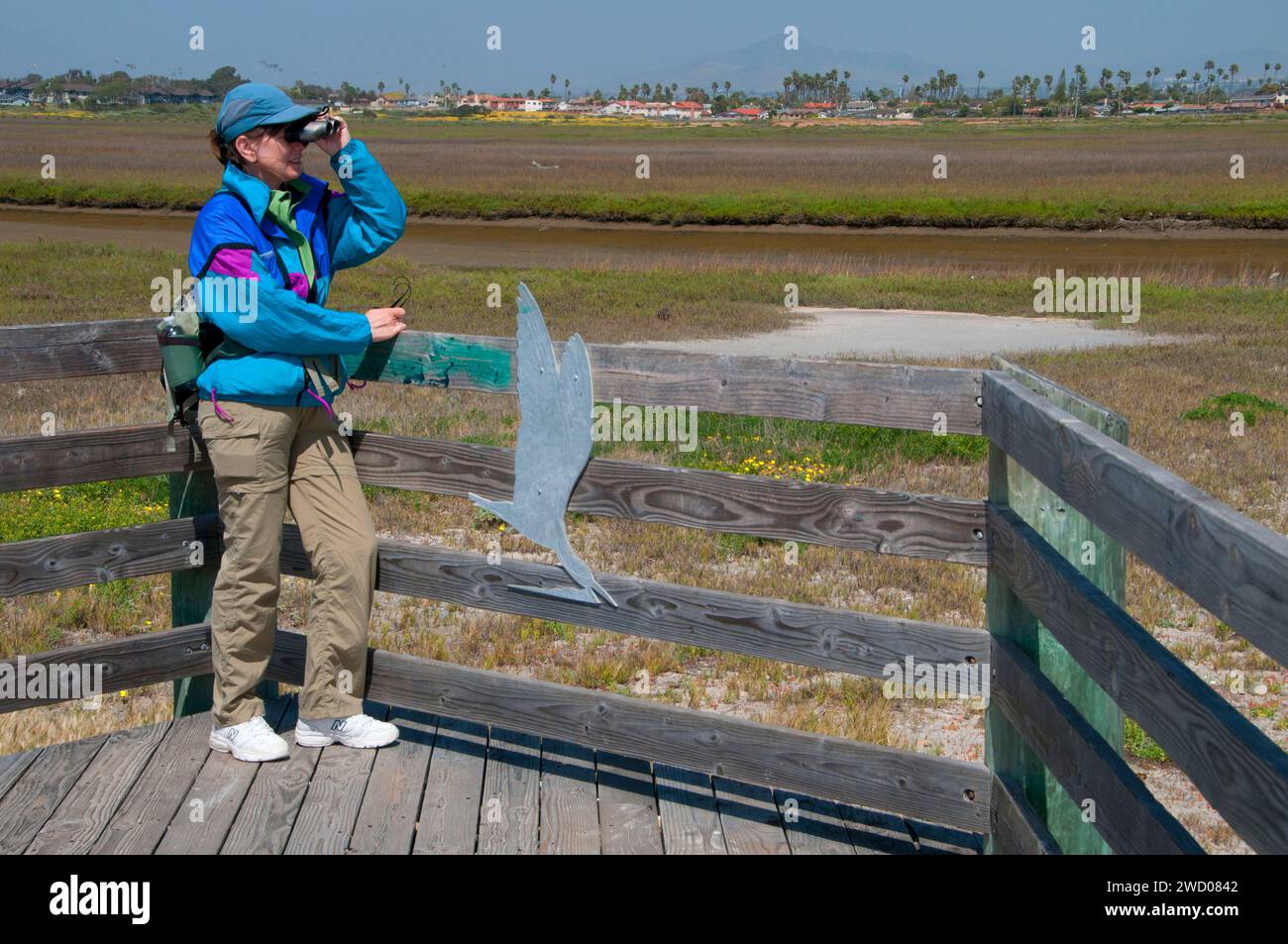 Birding from Observation deck, Tijuana Slough National Wildlife Refuge ...