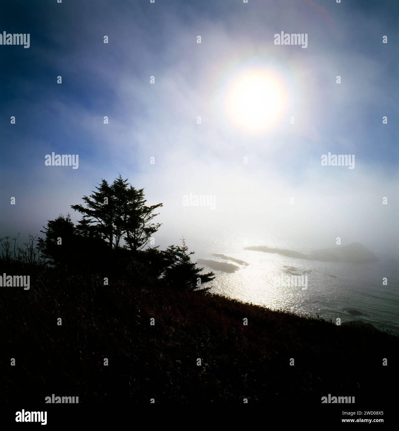 Sun shining through heavy coastal fog; Pacific Ocean near Yaquina Head ...