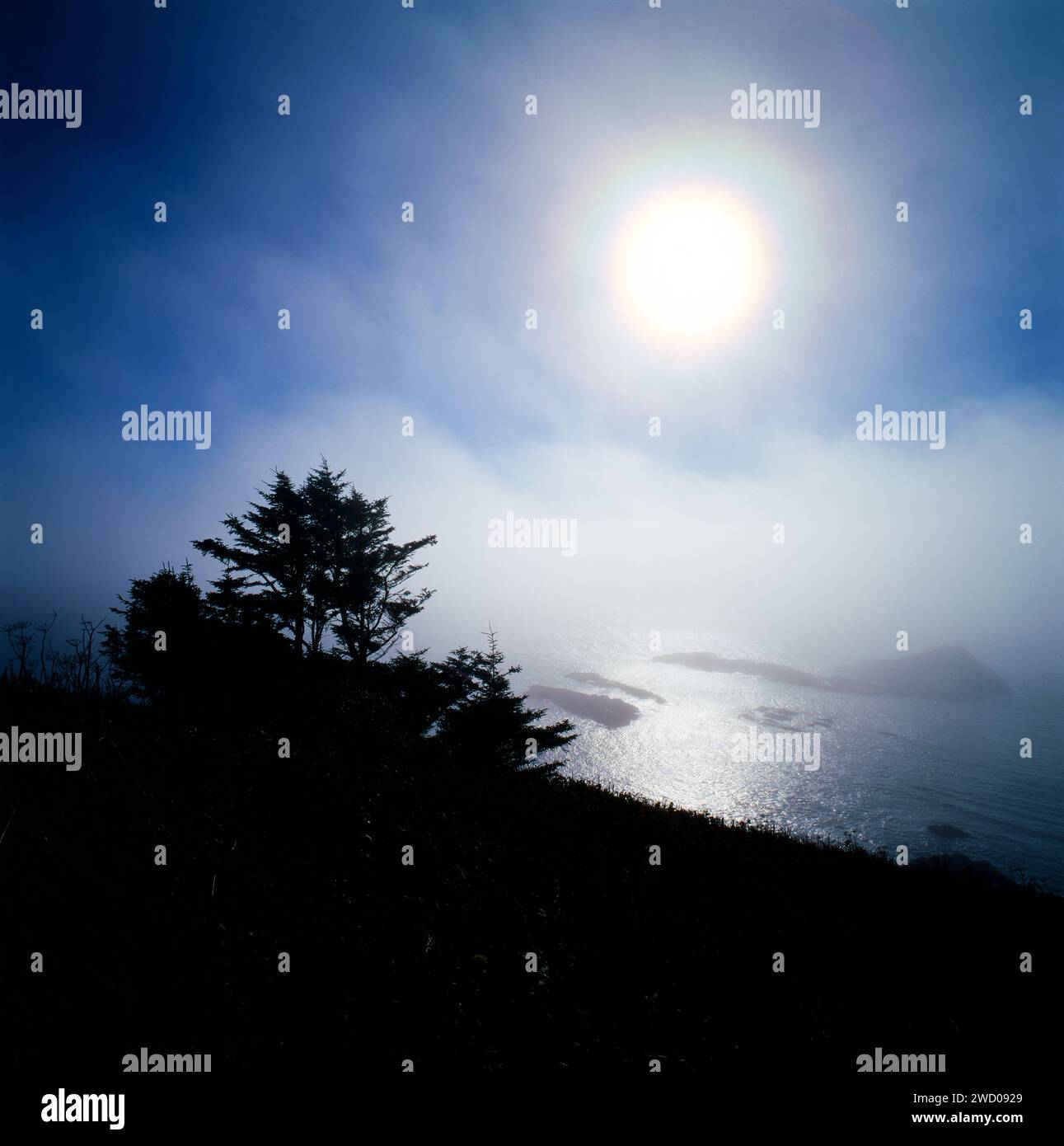 Sun shining through heavy coastal fog; Pacific Ocean near Yaquina Head ...