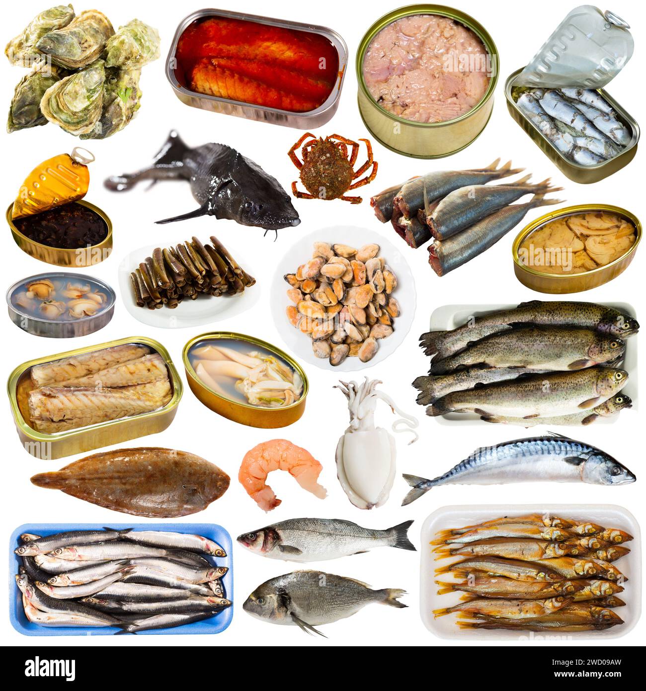 Set of assorted fish and seafood. Raw and semi-finished products Stock ...