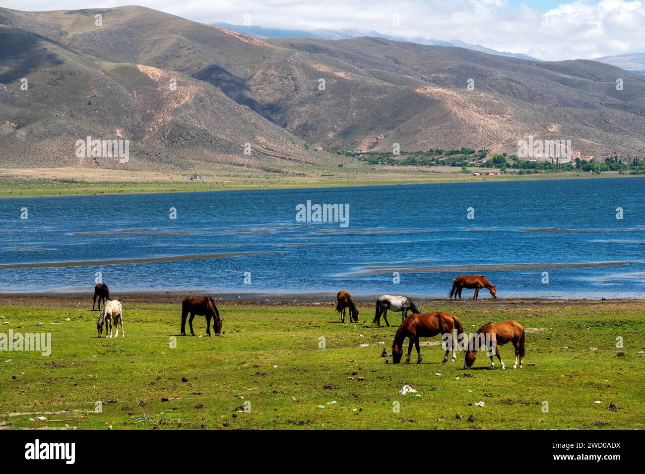 El mollar tucuman hi-res stock photography and images - Alamy