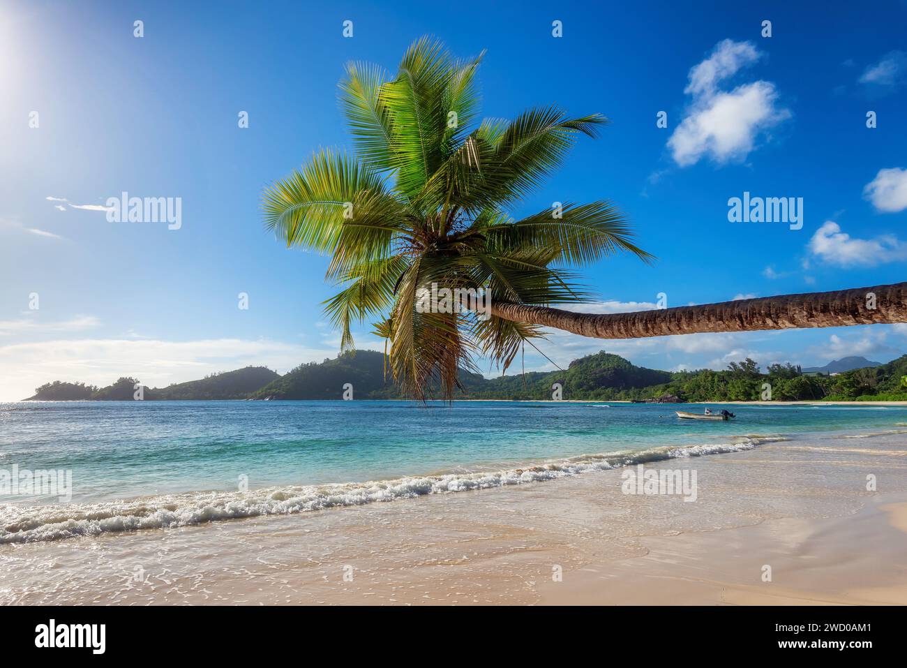 Tropical Sunny Beach. Beautiful sandy beach with palms and turquoise ...