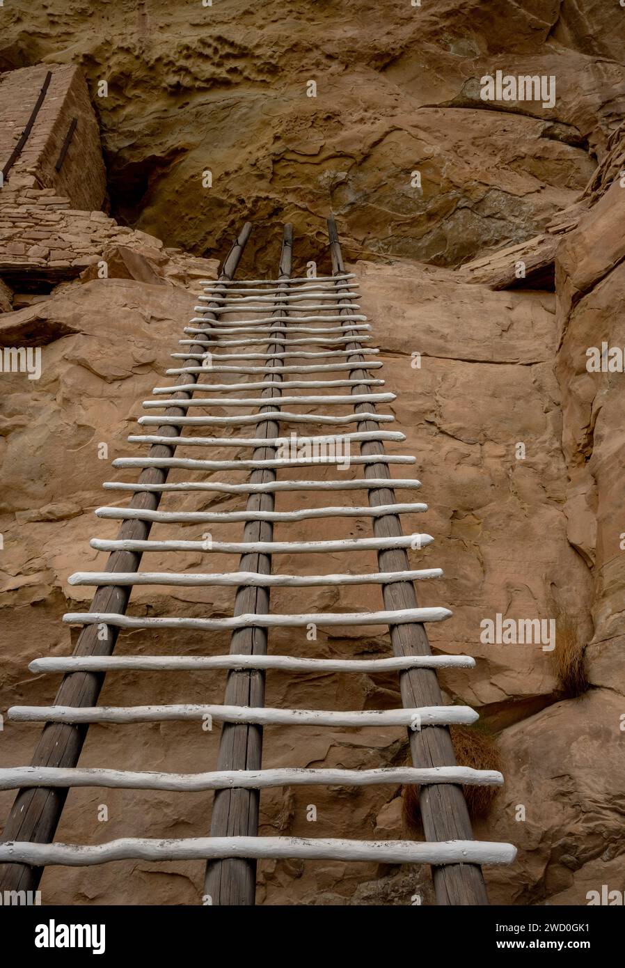 Tall ladder hi-res stock photography and images - Alamy