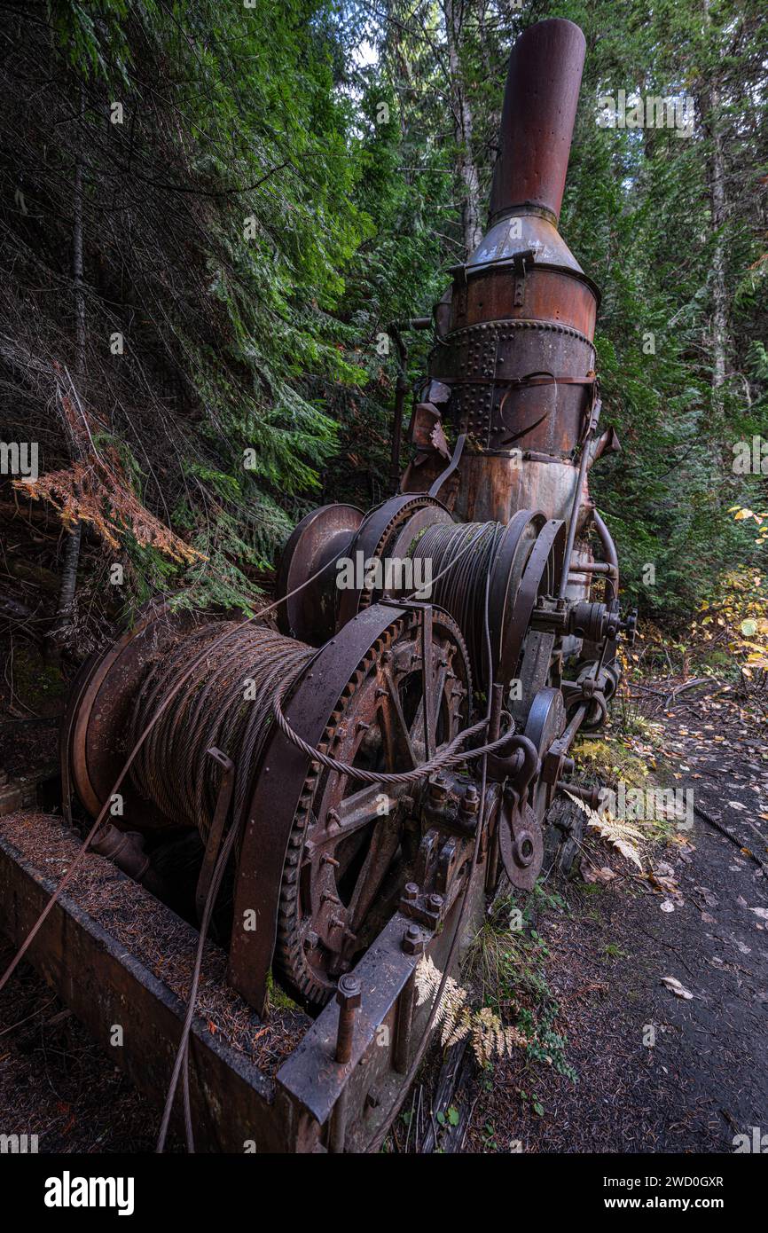 Old Steam Donkey Machine in Idaho Stock Photo - Alamy