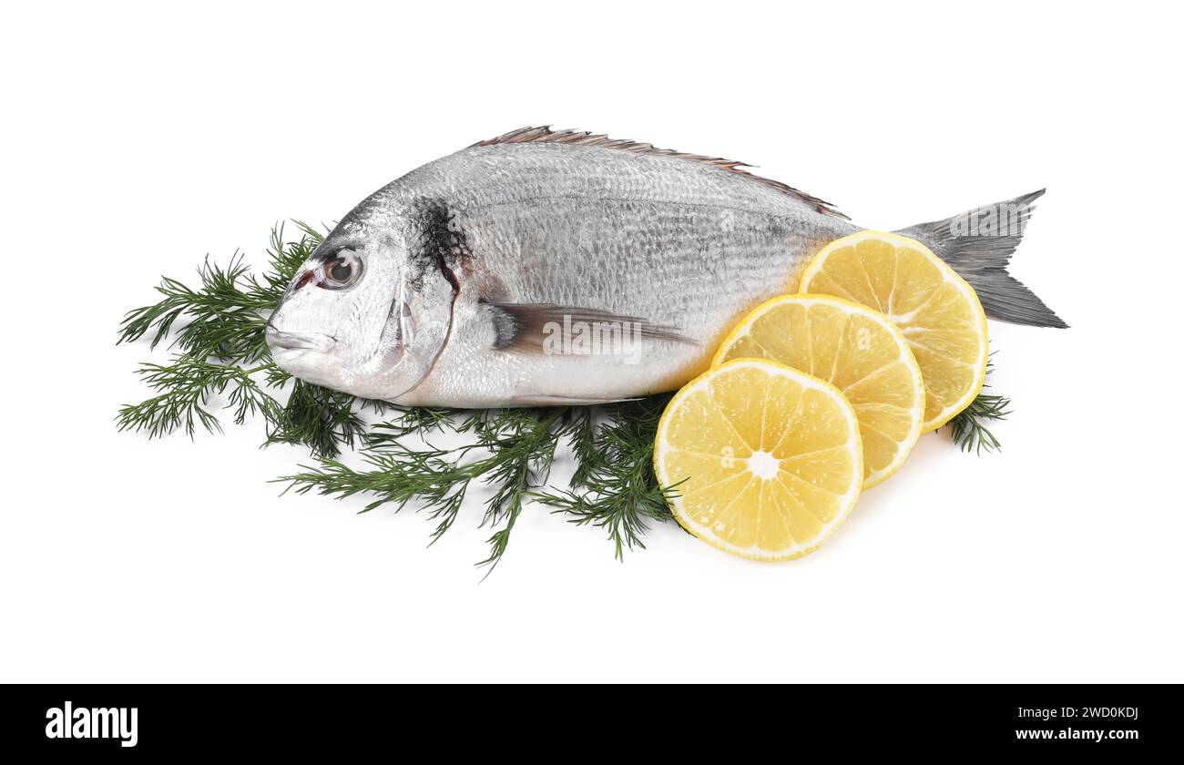 Raw dorado fish, dill and lemon slices isolated on white Stock Photo ...