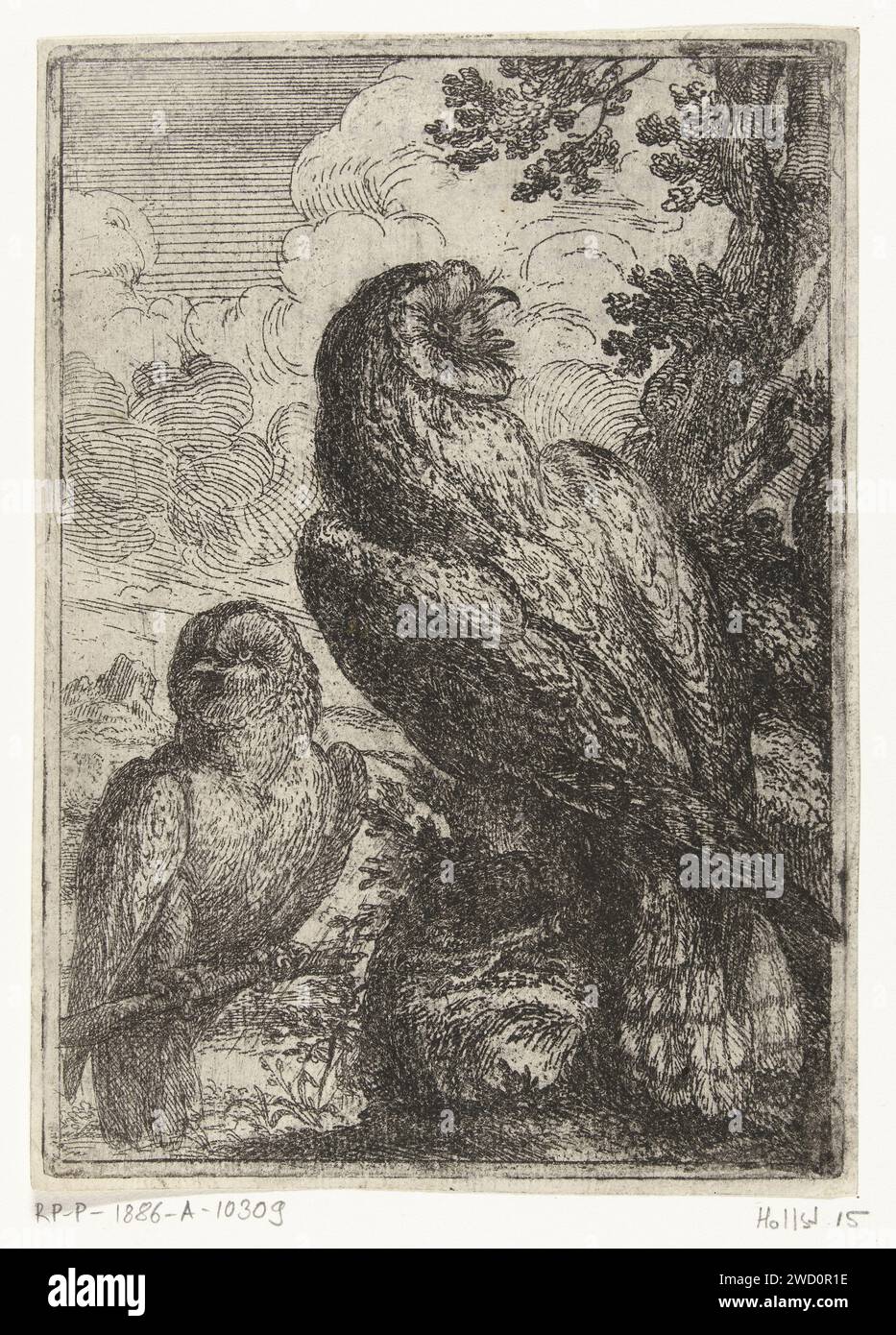 Two owls, Peeter Boel, 1642 - 1674 print Two owls sit opposite branches ...