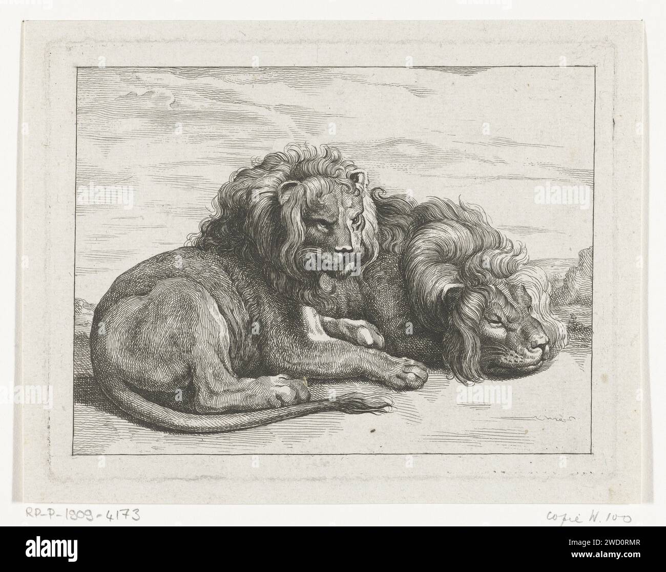 Two lying lions, Anonymous, After Abraham BLOTELING, After Peter Paul ...