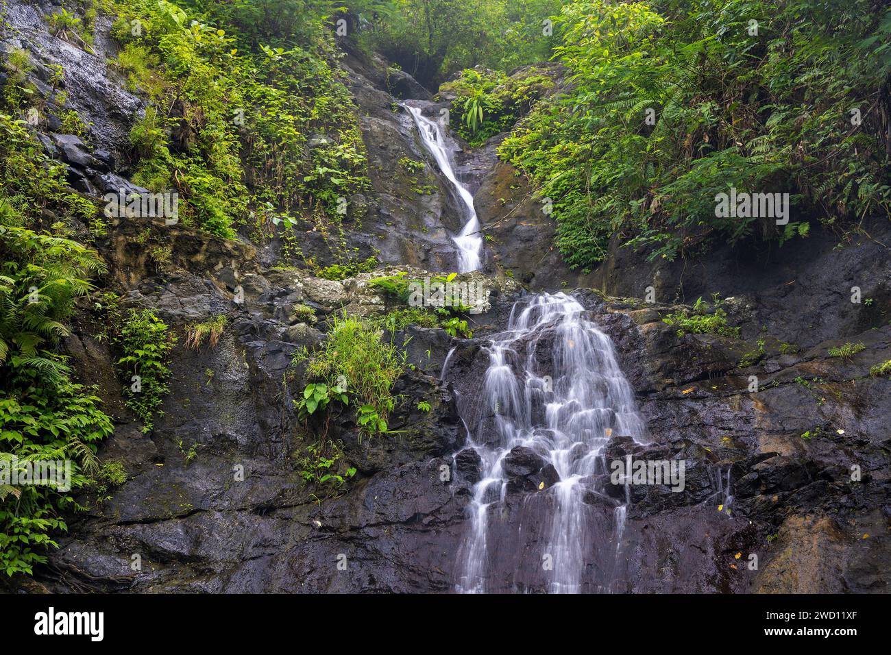 Bali jungle waterfall hi-res stock photography and images - Alamy