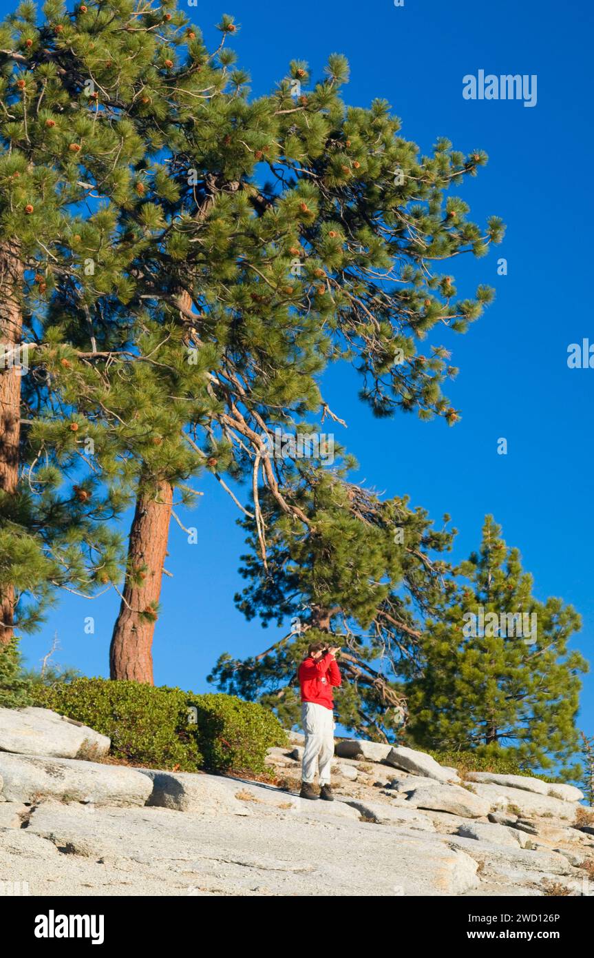 Granite dome with pine and hiker on ridge at Buck Rock Lookout, Sequoia ...