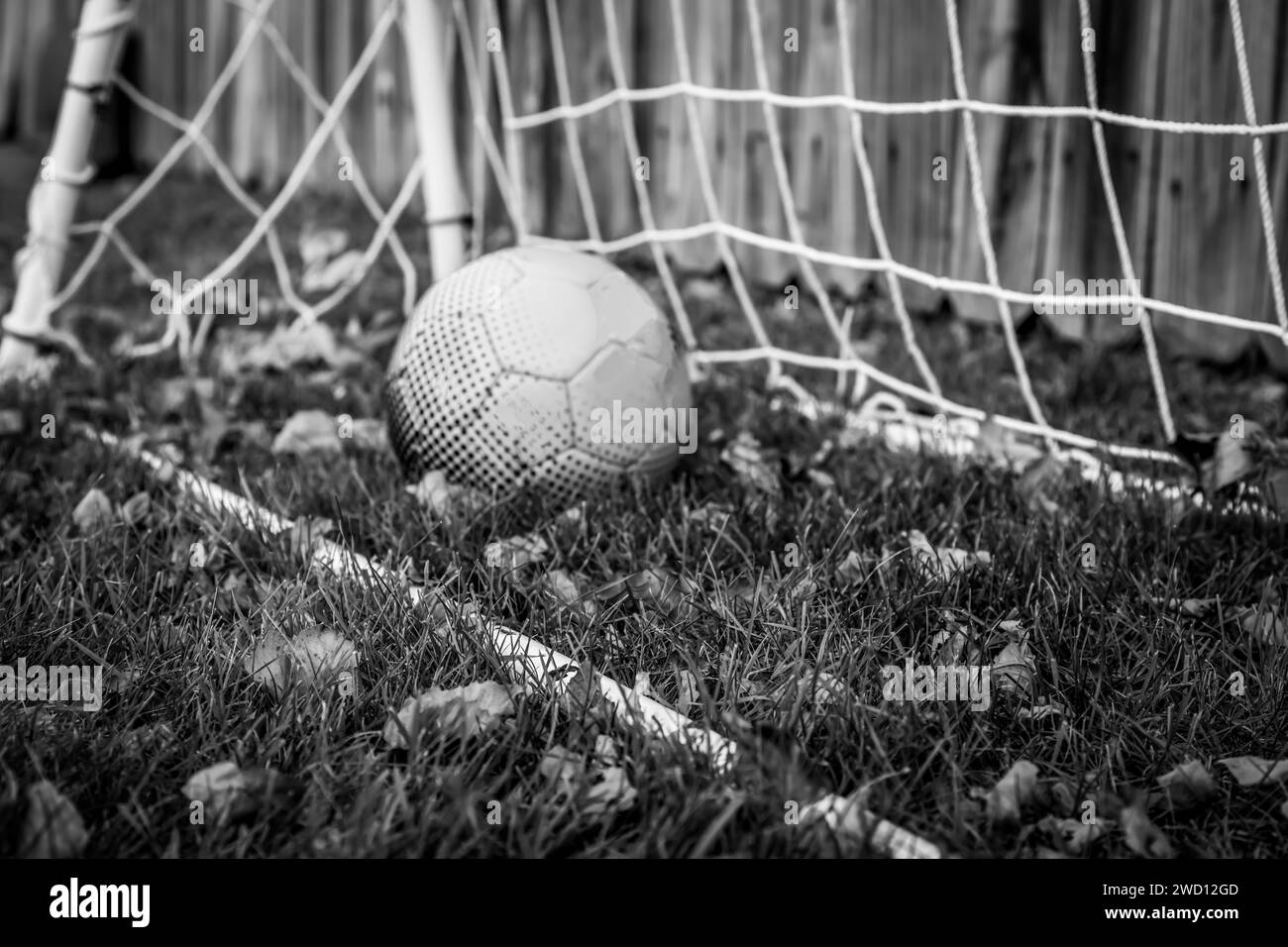 Soccer Ball In Area at Kimberly Marte blog