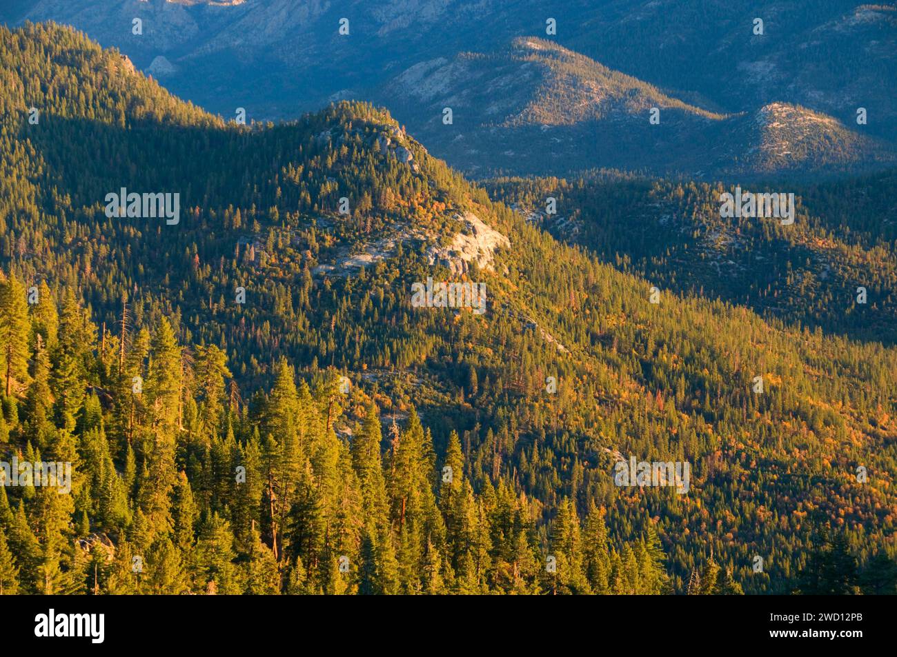 View into Kern River drainage from The Needles Lookout Trail, Sequoia ...