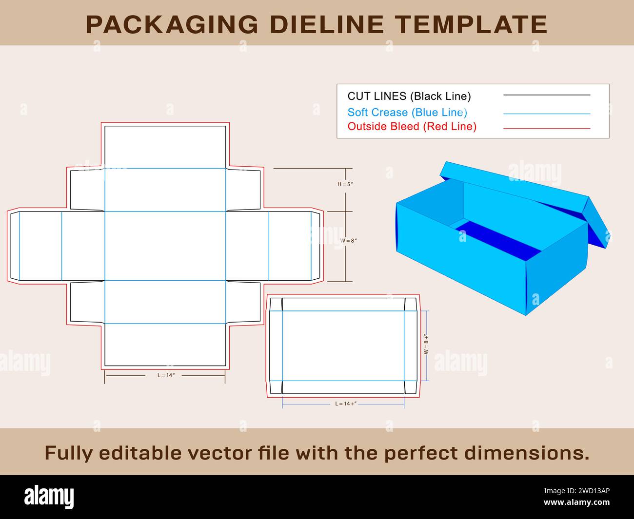 Shoe Box, Dieline Template, Editable Vector File Stock Vector Image ...