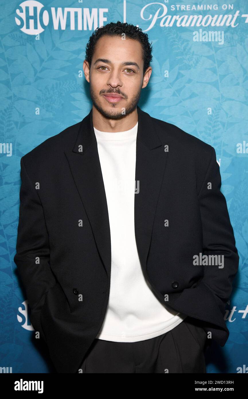 New York, USA. 17th Jan, 2024. Daryl McCormack attends 'The Woman in ...