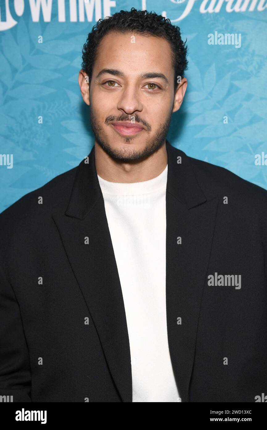 New York, USA. 17th Jan, 2024. Daryl McCormack attends 'The Woman in ...