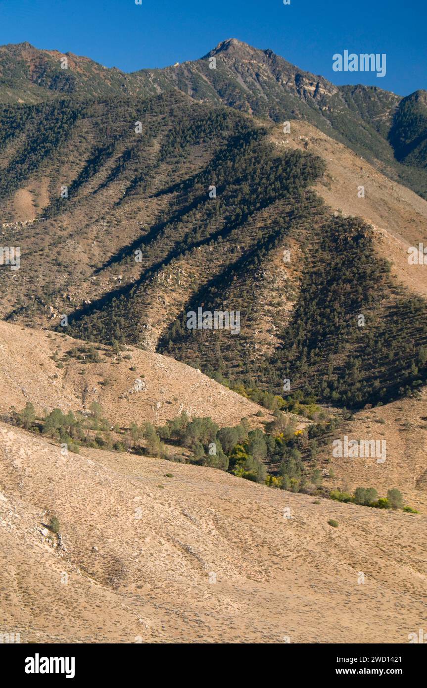 Wilderness mountains, Owens Peak Wilderness, Chimney Peak National ...