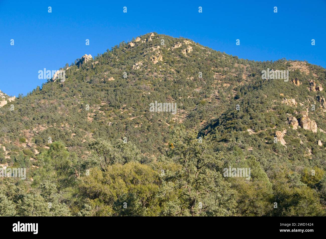 Lamont Peak, Owens Peak Wilderness, Chimney Peak National Backcountry ...