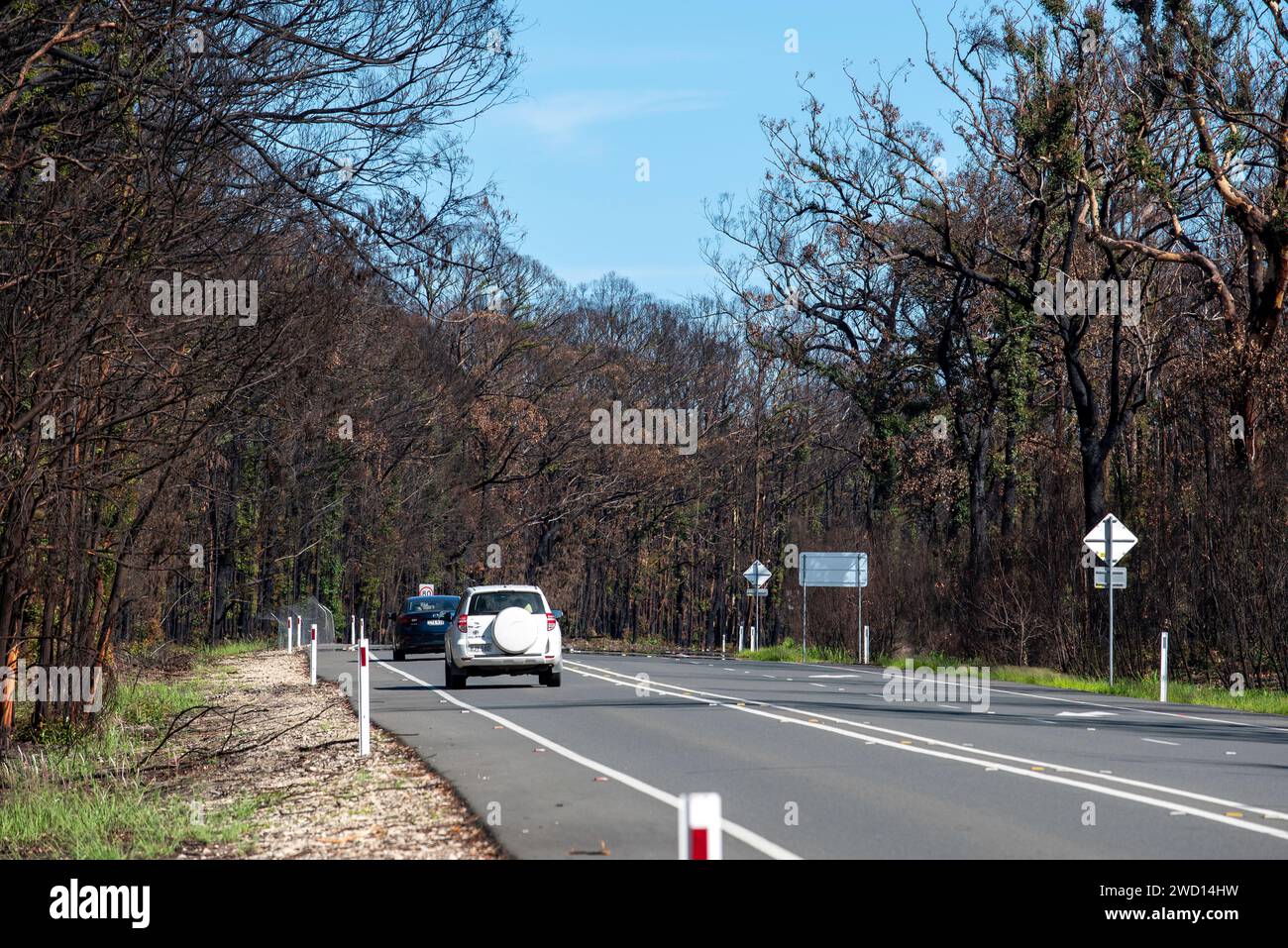 March 2020: Signs of regrowth and recovery after rain, from the ...