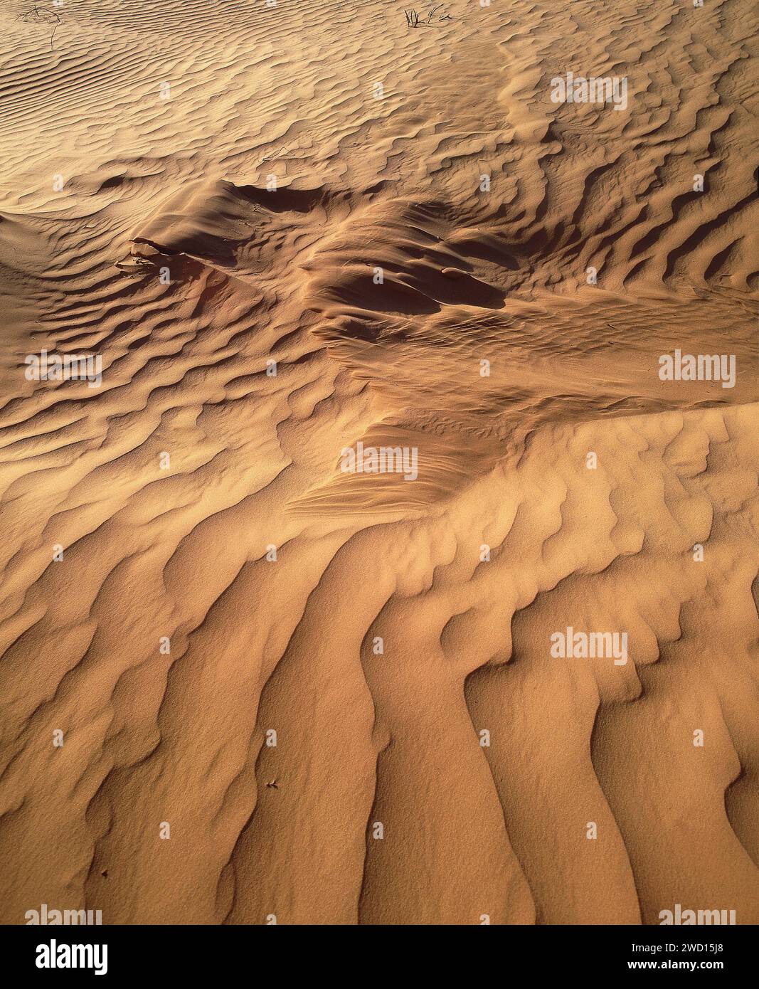 SAND PATTERNS, SIMPSON DESERT, CENTRAL AUSTRALIA Stock Photo - Alamy