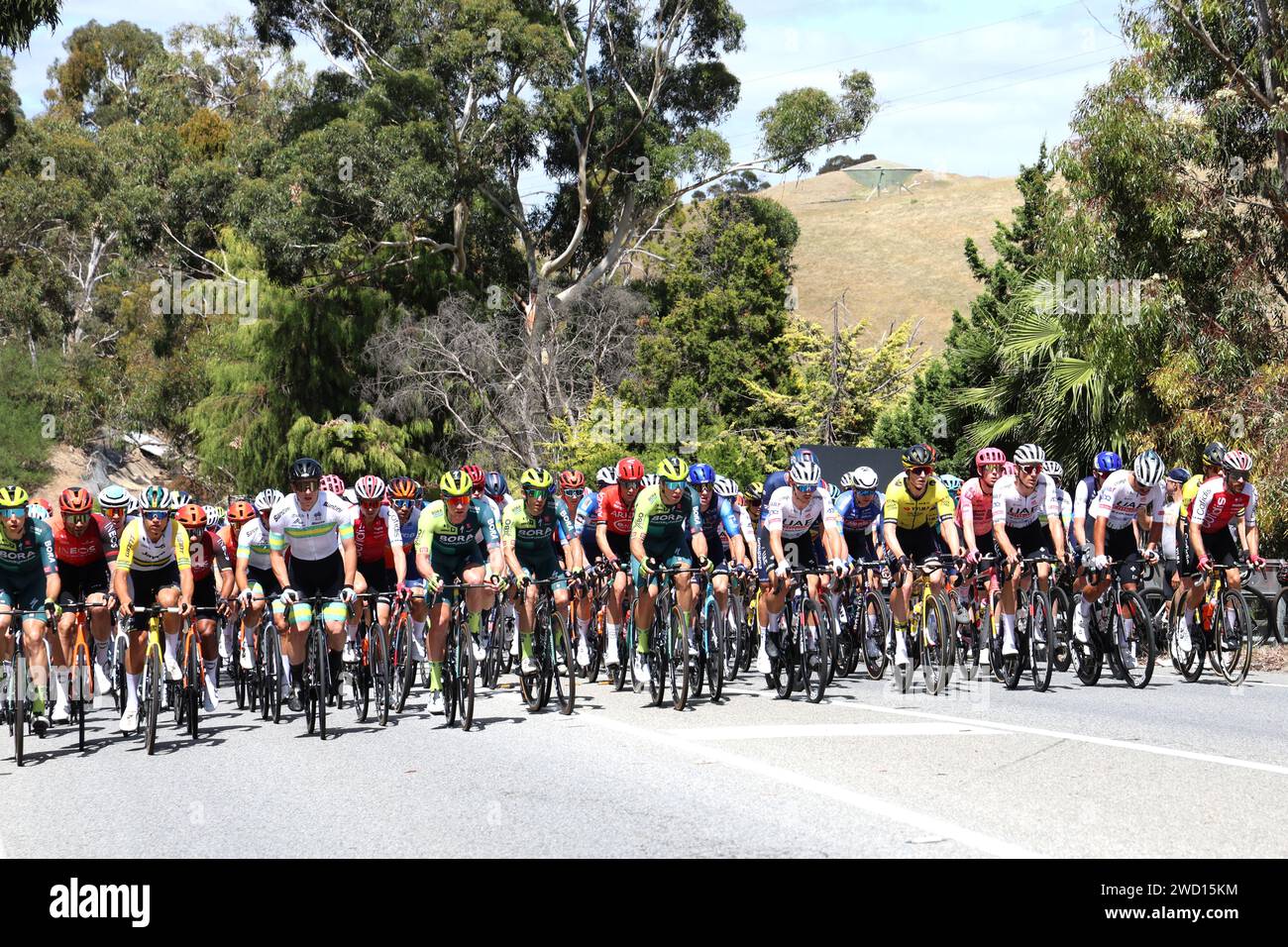 Riders approaching the King of the Mountain finish line on stage 3 of ...