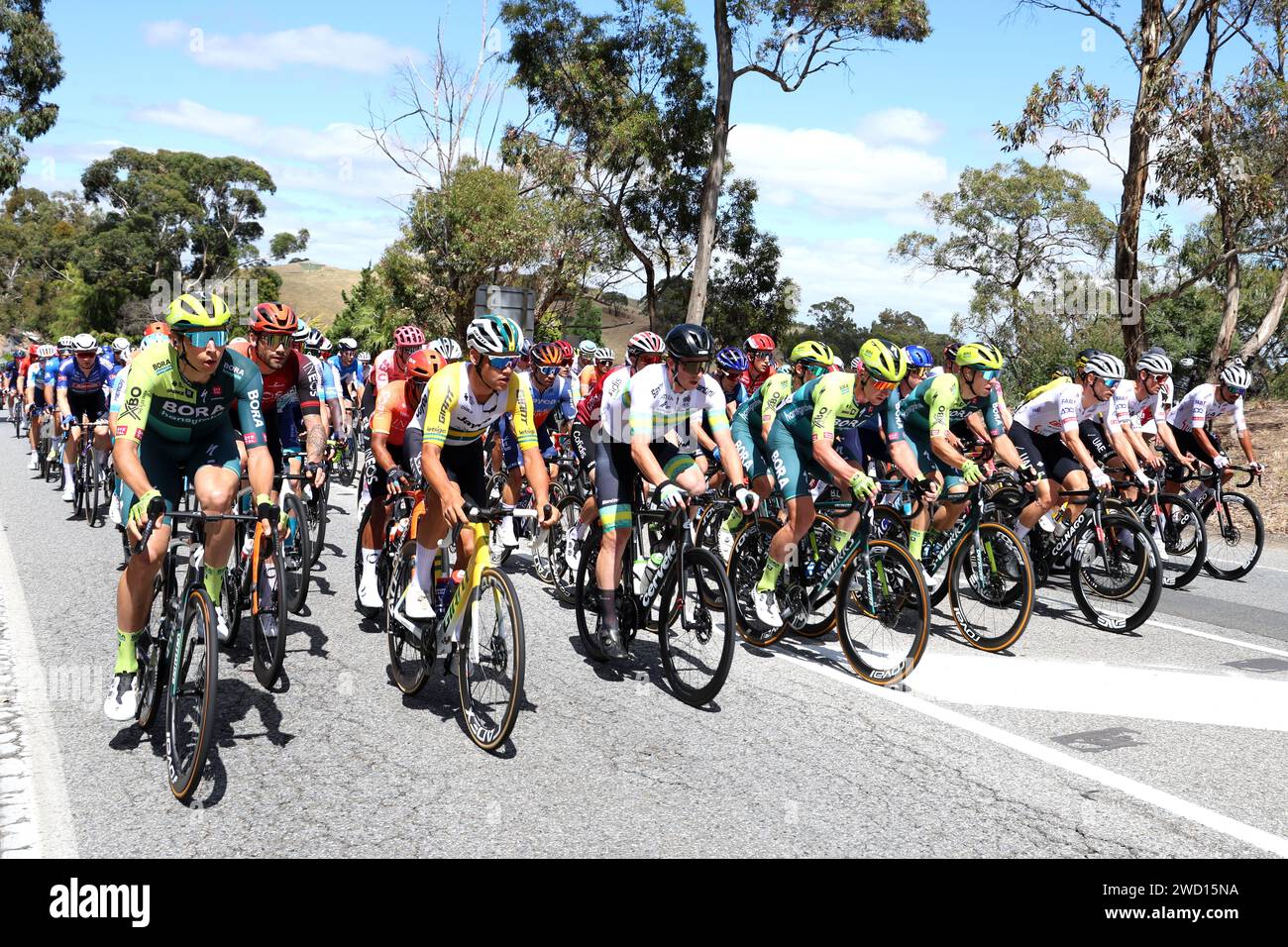 Riders approaching the King of the Mountain finish line on stage 3 of ...