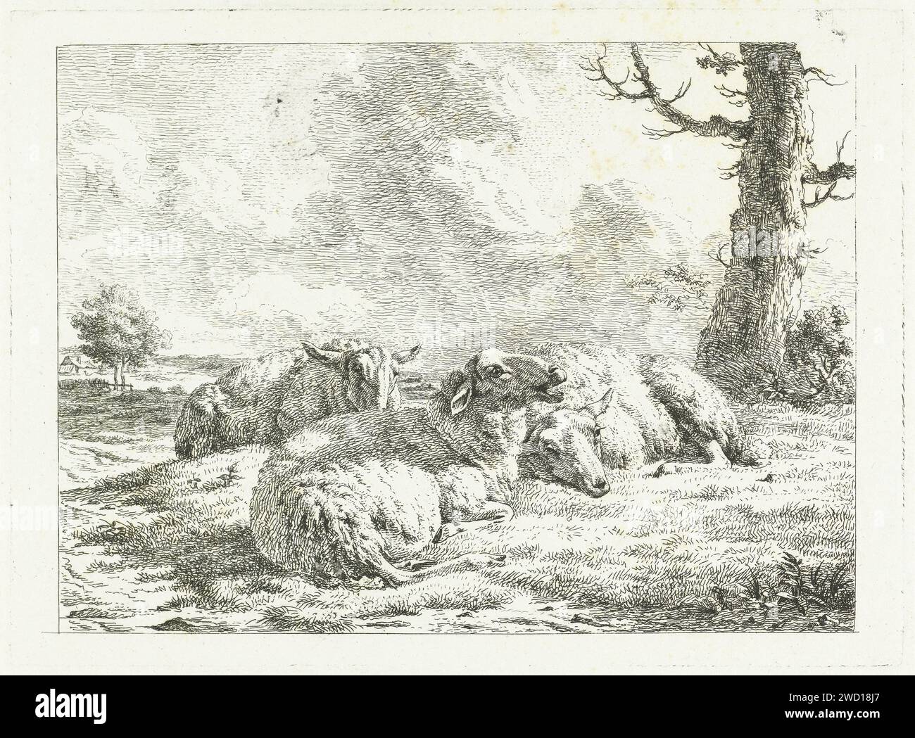 Three sheep lying by Kale Boom, Frédéric Théodore Faber, 1817 - 1828 ...