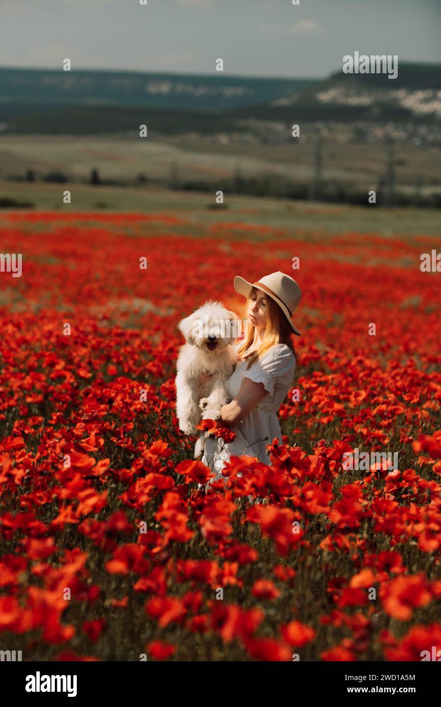 Field of poppies woman dog. Happy woman in a white dress and hat stand ...