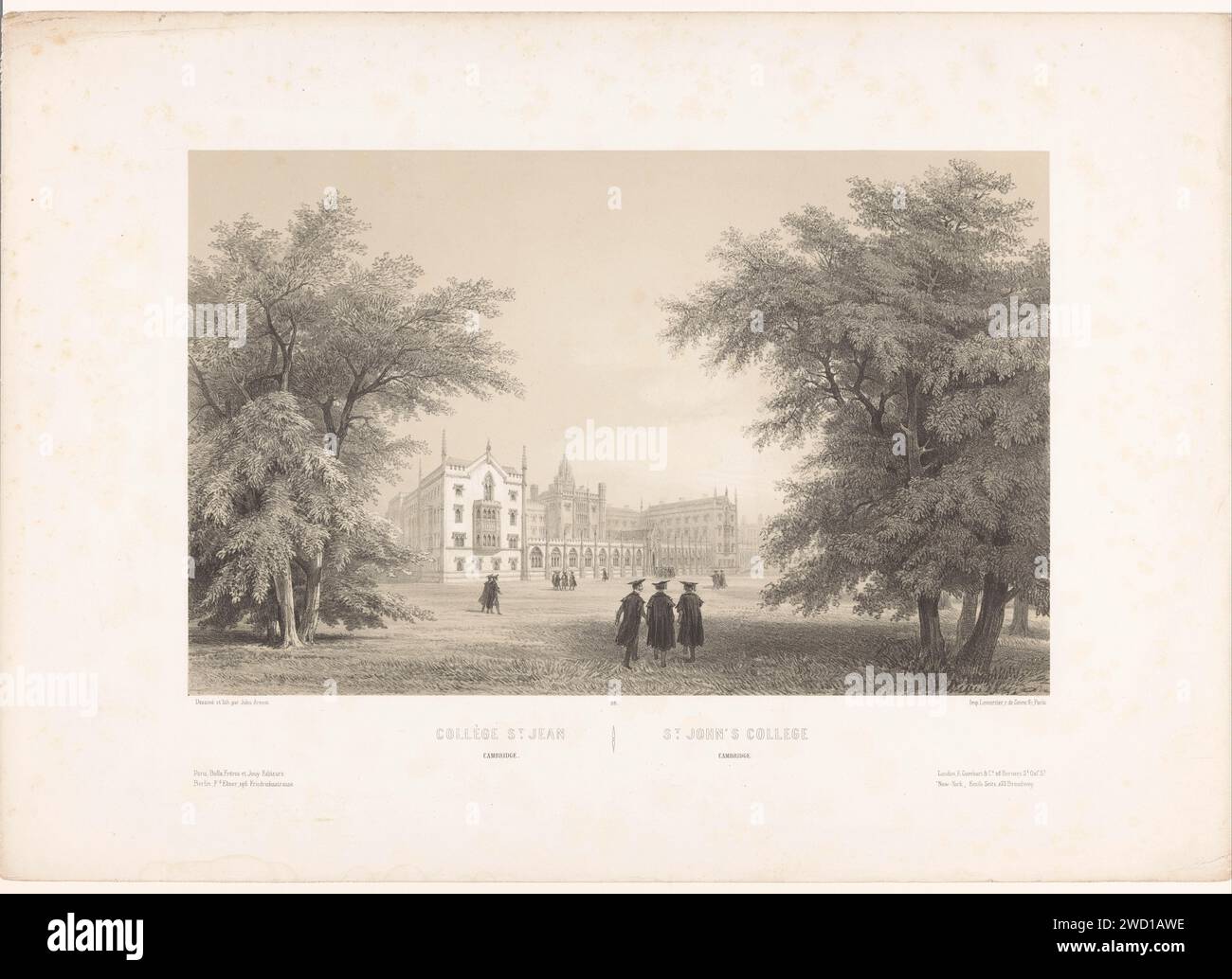 View of new york city 1855 hi-res stock photography and images - Alamy