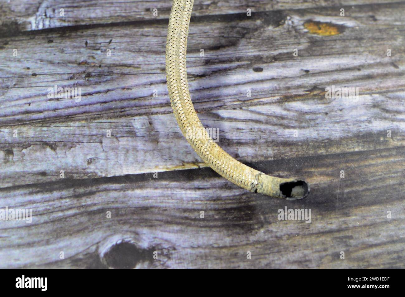 Used broken rusty water tube pipeline, single braided flexible water ...