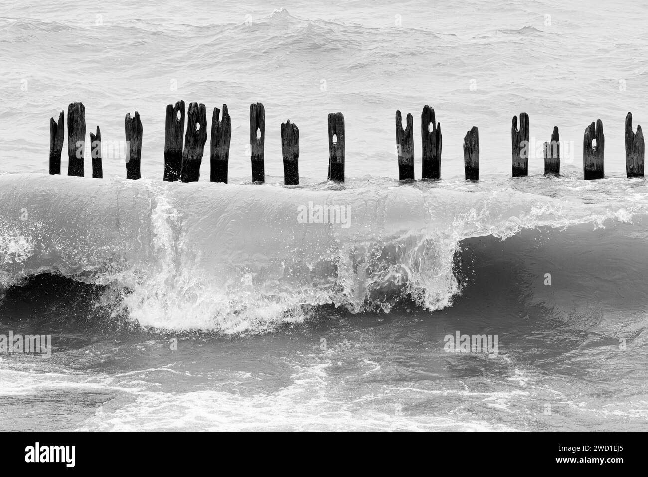 Wooden poles in water next to crashing wave Stock Photo - Alamy