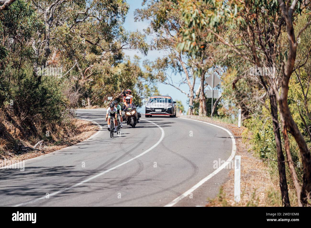 Adelaide, Australia. 18th Jan, 2024. Picture by Zac Williams/SWpix.com ...