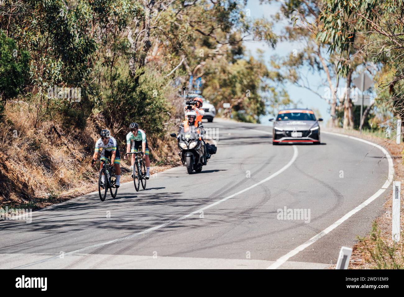 Adelaide, Australia. 18th Jan, 2024. Picture by Zac Williams/SWpix.com ...