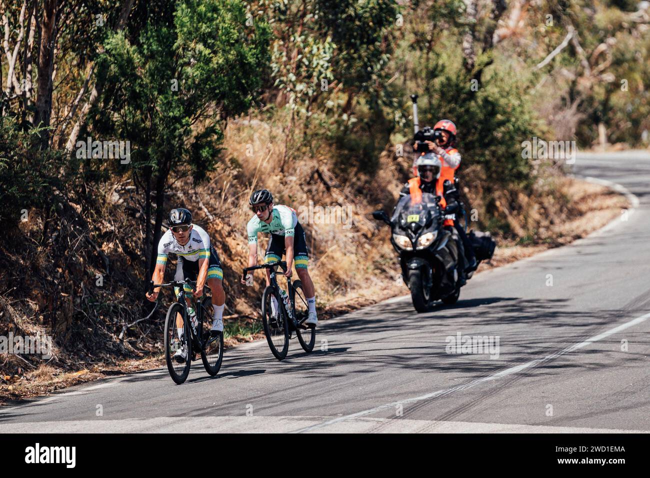 Adelaide, Australia. 18th Jan, 2024. Picture by Zac Williams/SWpix.com ...