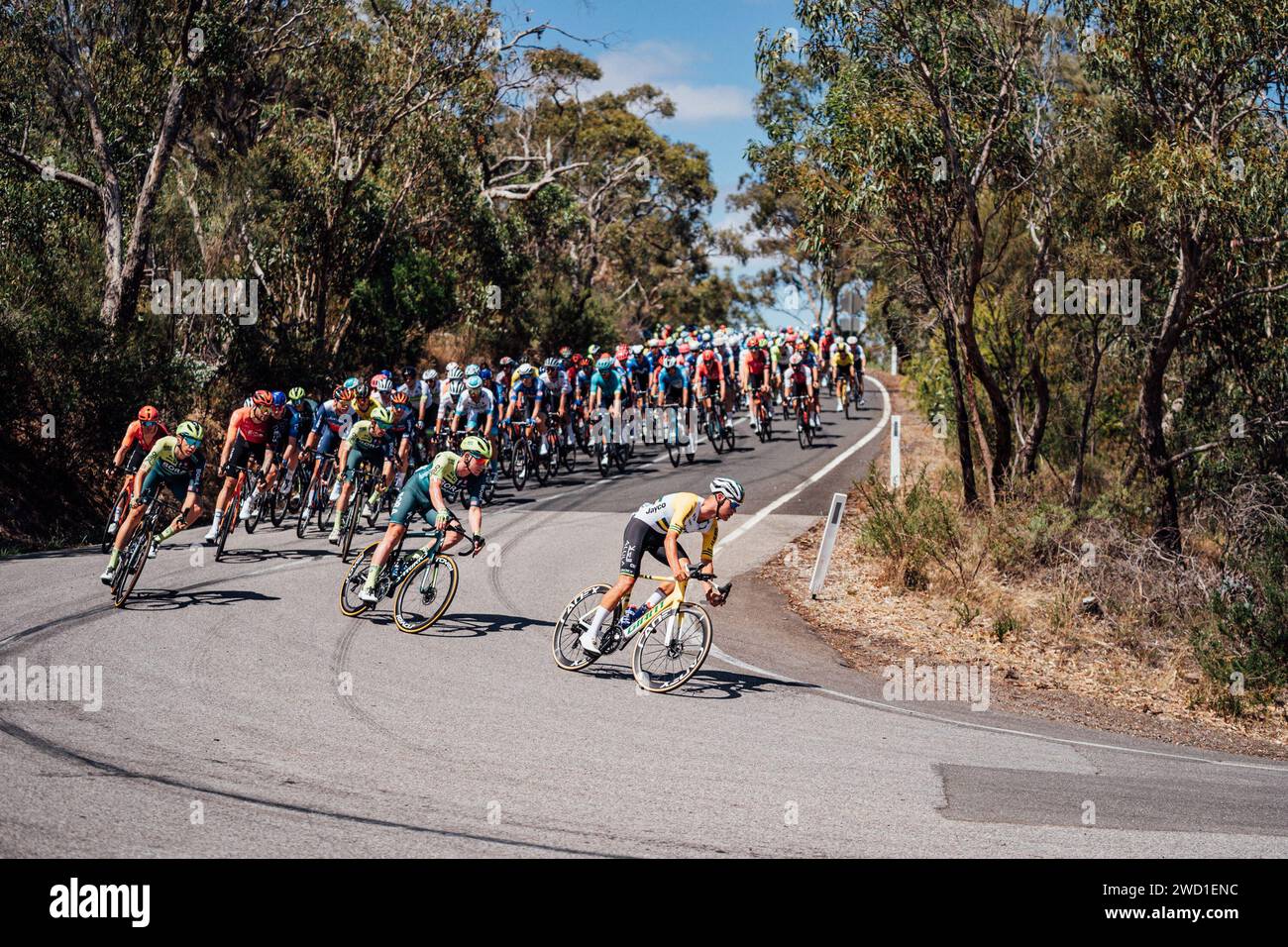 Adelaide, Australia. 18th Jan, 2024. Picture by Zac Williams/SWpix.com ...