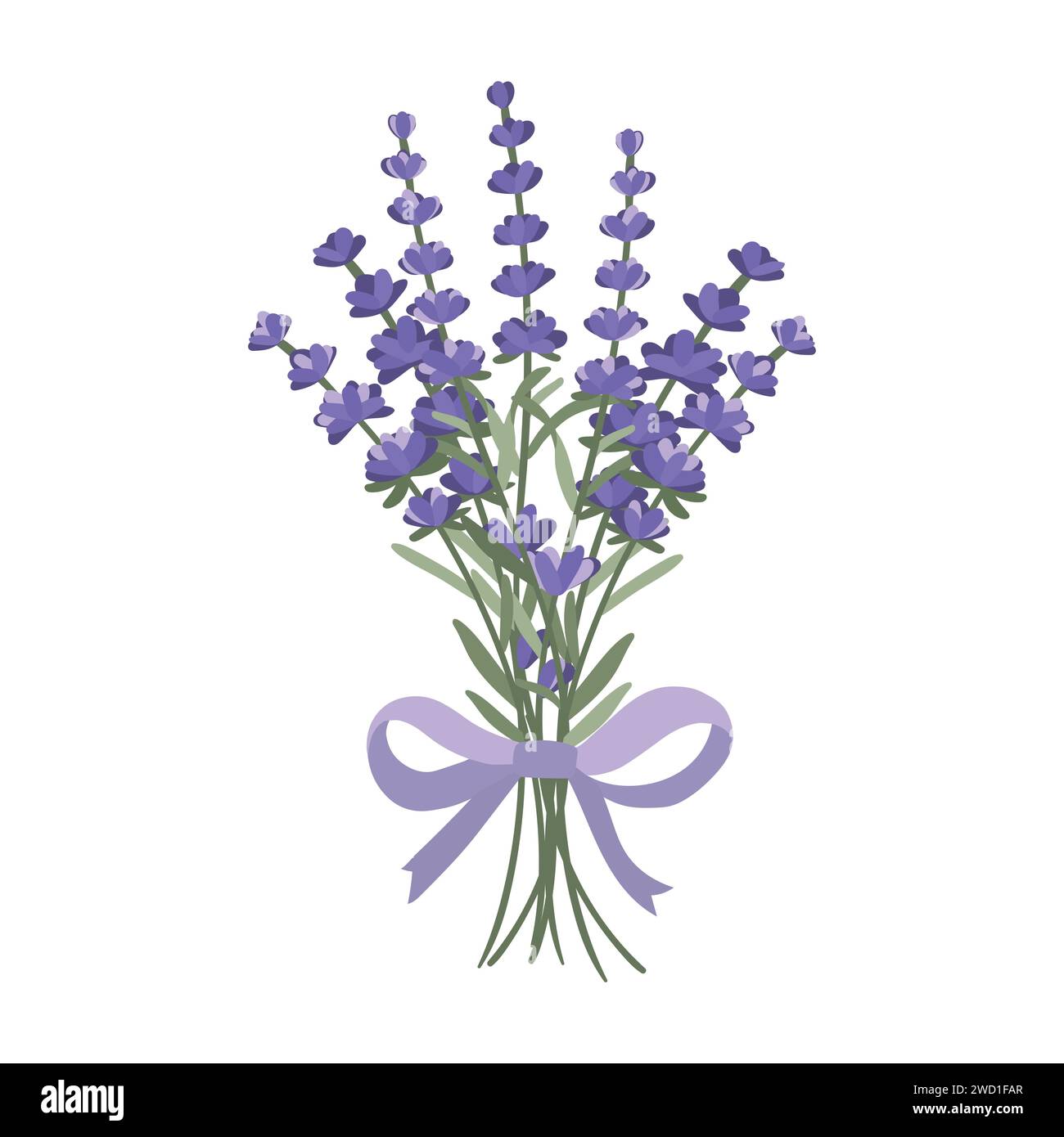 A floral arrangement of lavender flowers in the form of a bouquet with ...