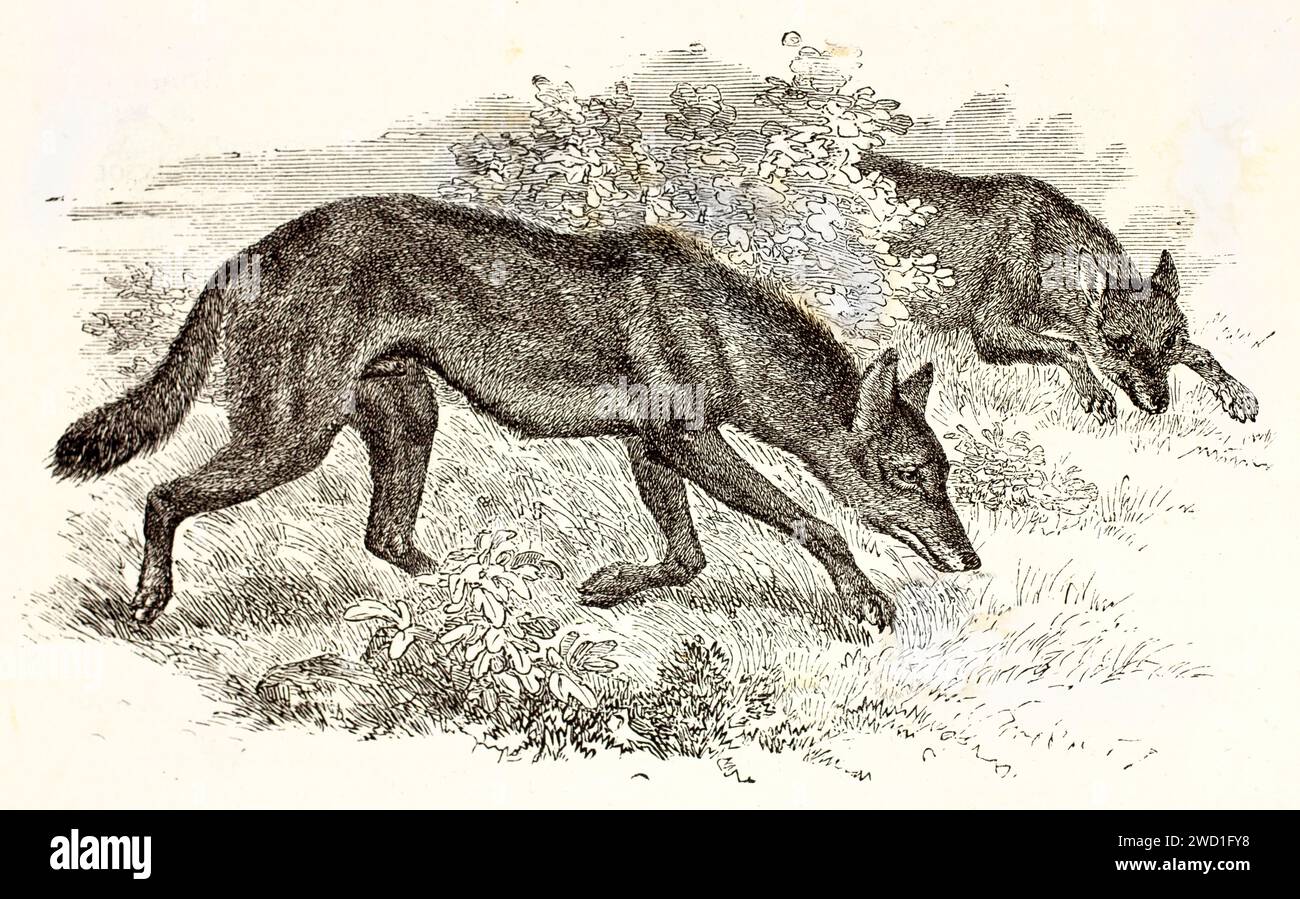 Posture detection hi-res stock photography and images - Alamy