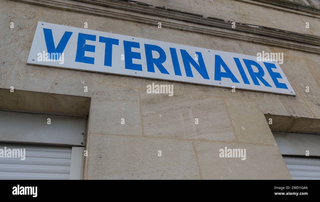 First aid for animals hi-res stock photography and images - Alamy