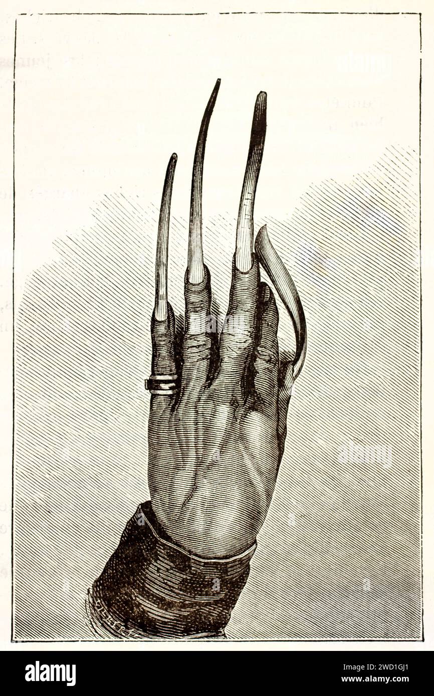 Annamite hi-res stock photography and images - Alamy