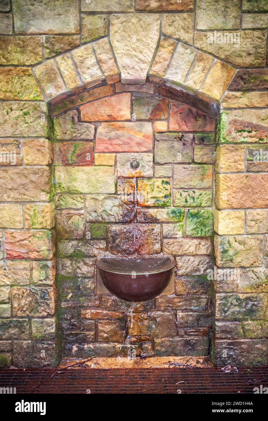 Cook Forest State Park and Clarion River Lands in scenic northwestern ...