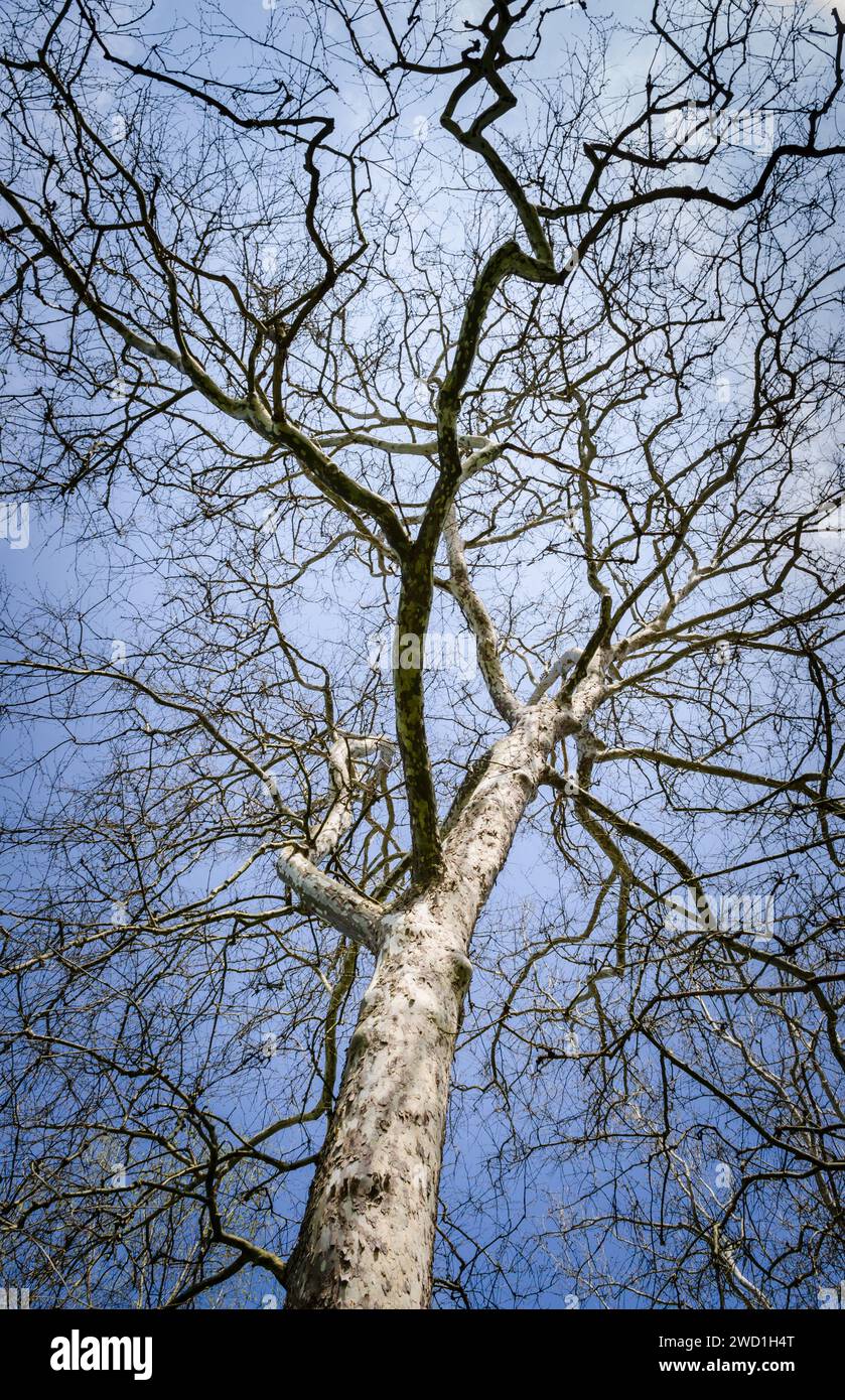 The Drake Well Museum and Parkin the scenic Oil Creek Valley, USA Stock ...